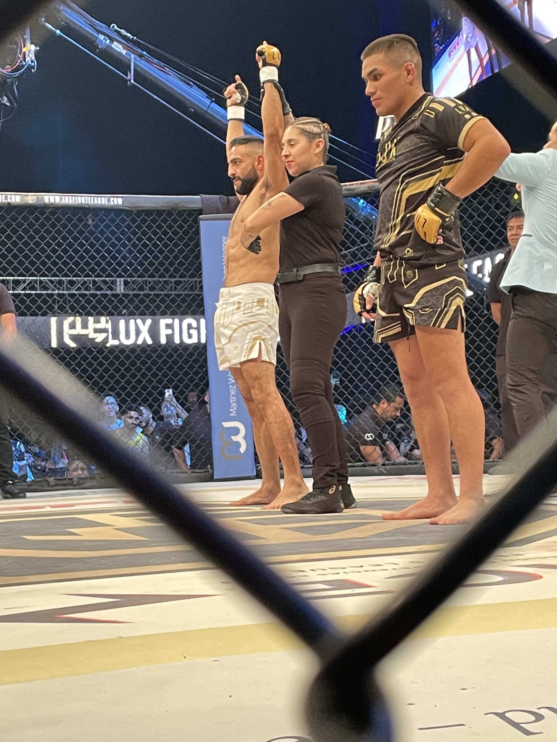 El espectáculo de artes marciales mixtas hizo vibrar de nuevo al ...