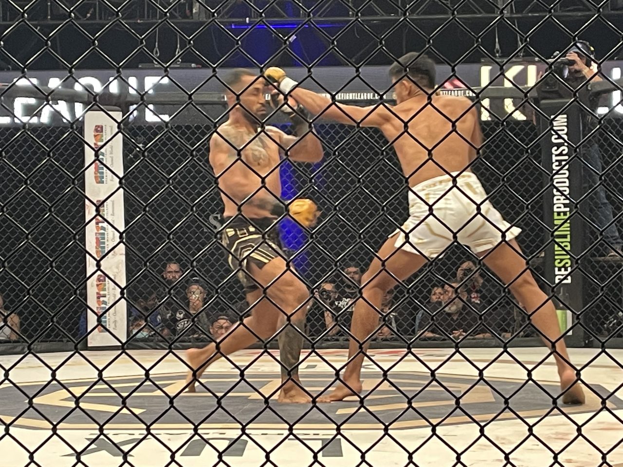 El espectáculo de artes marciales mixtas hizo vibrar de nuevo al ...